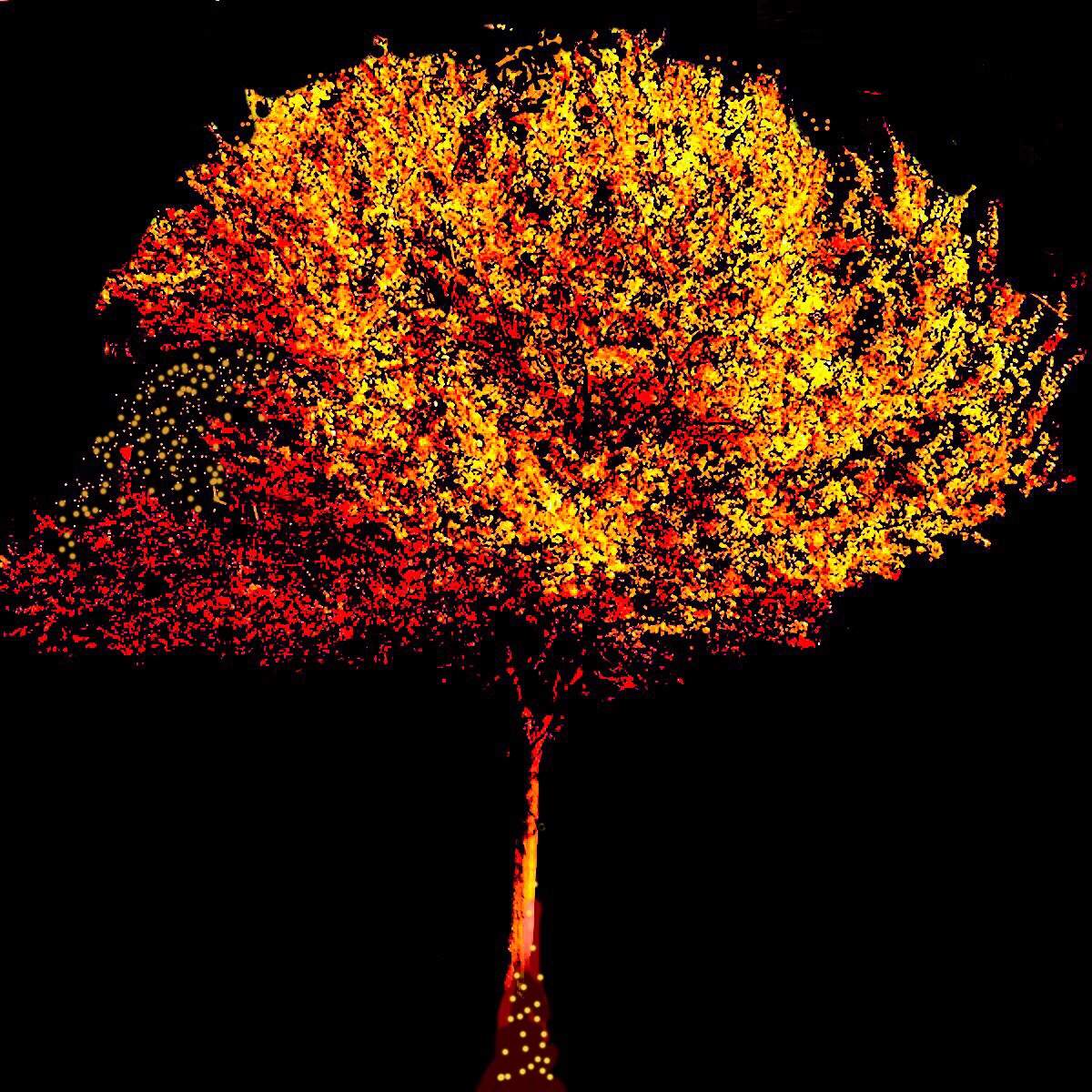 Ember tree by Marian Lamb